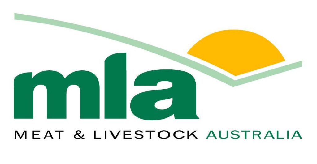 Saleyard - Katanning sheep - Agora Livestock