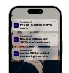 Australian Sheep & Cattle Markets - Agora Livestock