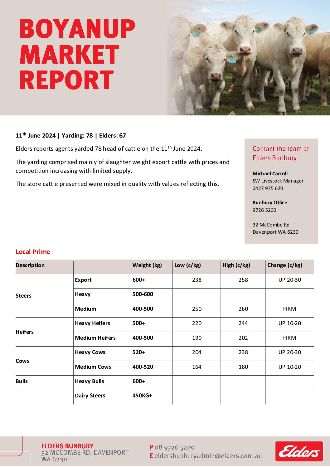 Saleyard - Boyanup cattle sale results (Elders) - Agora Livestock
